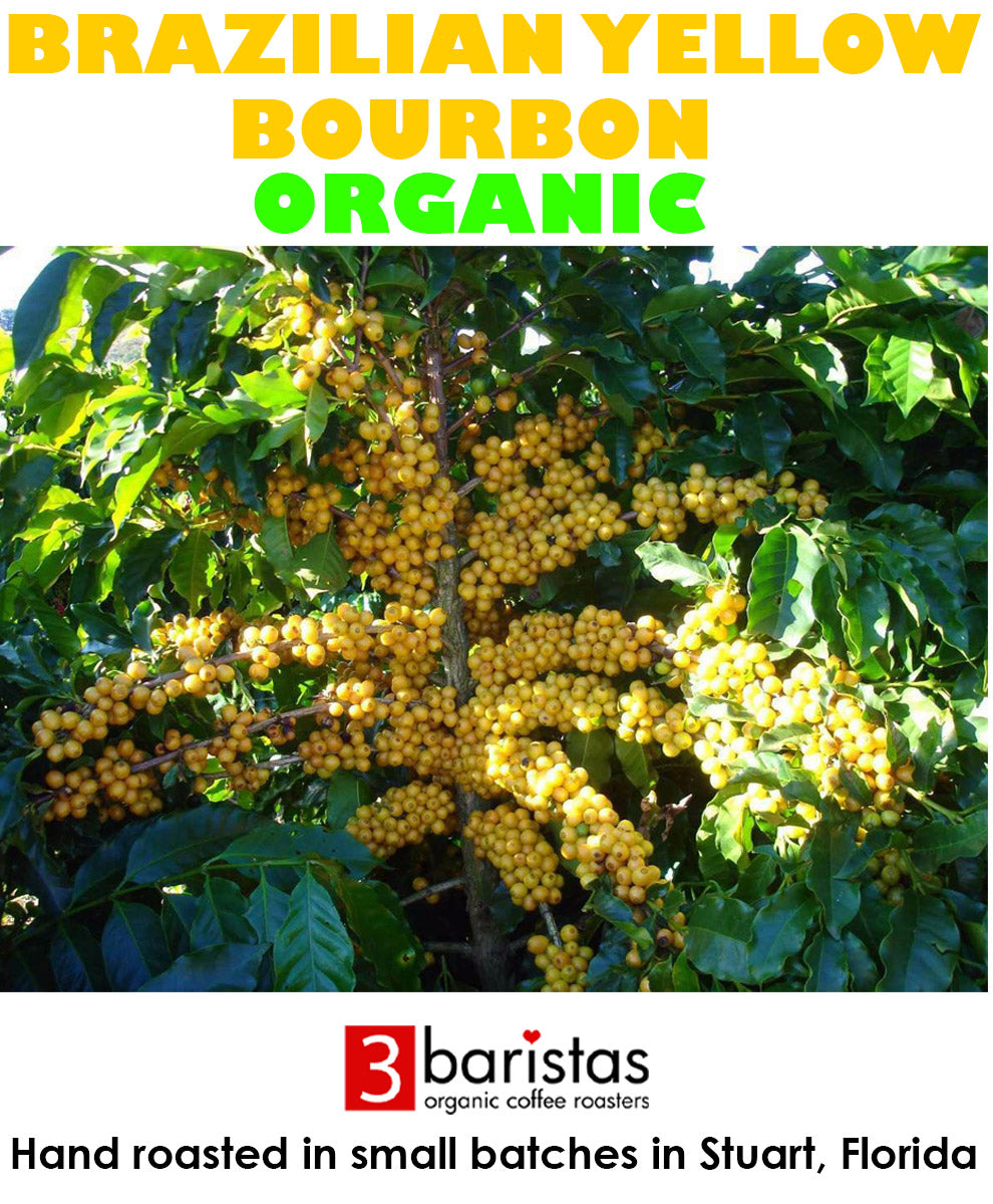 Organic Brazilian Yellow Bourbon – 3 Baristas Coffee Roasters