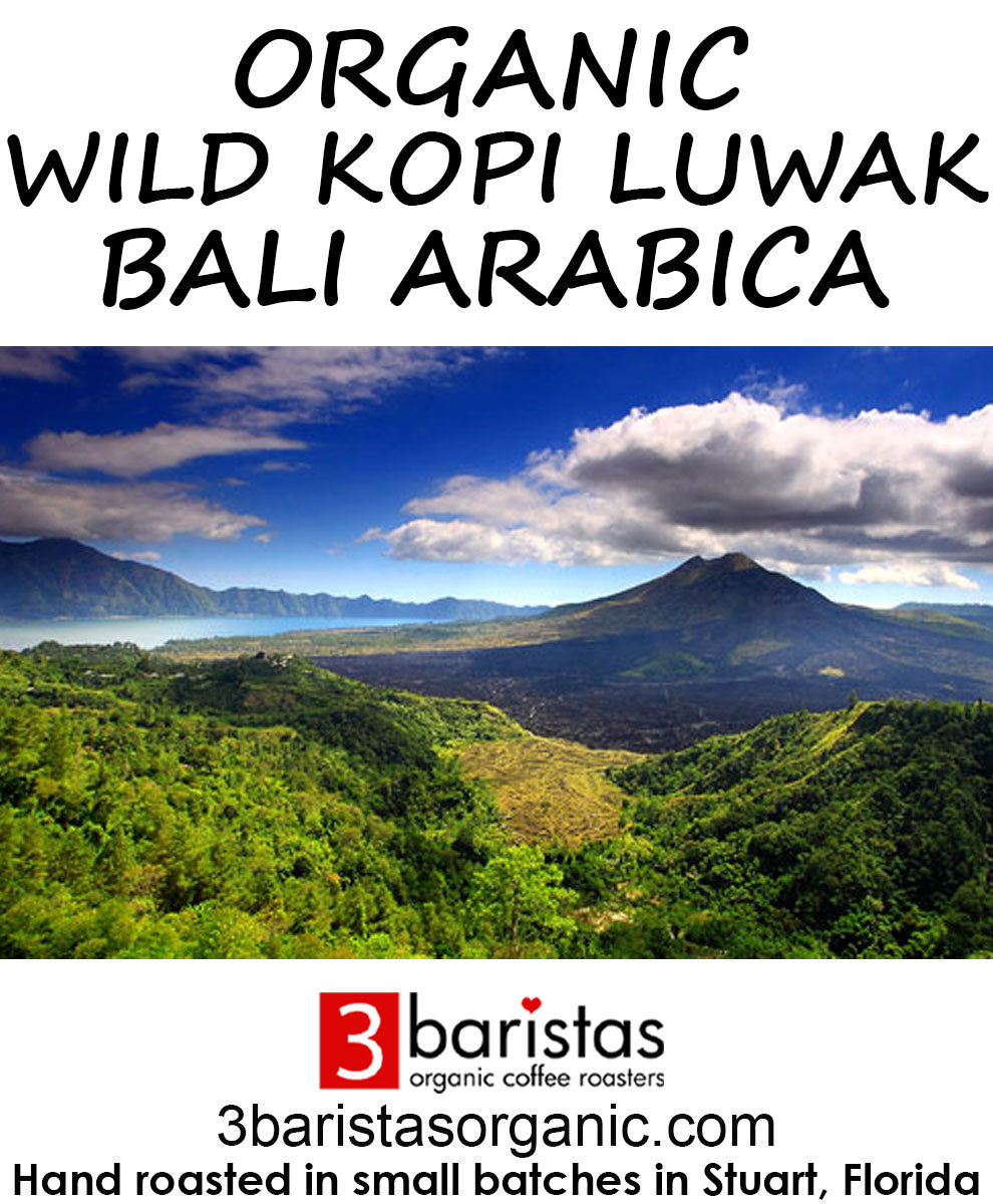 Organic Wild Kopi Luwak Bali Arabica - Free Shipping – 3 Baristas ...